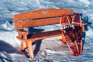 Gallery - Little Sweden